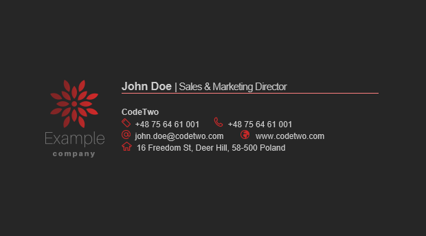 Compact with large logo - Mail-Signatures.com